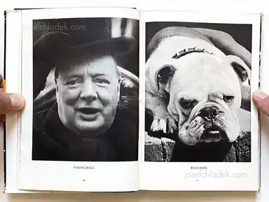 Stefan Lorant - Chamberlain and The Beautiful Llama and 101 More ...